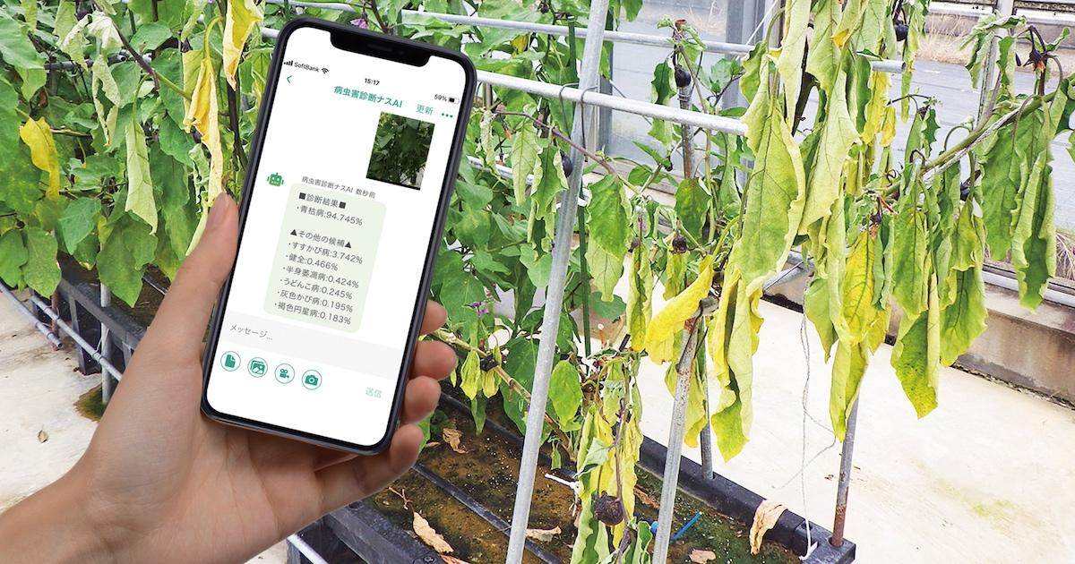 The Impact of AI: Anyone Can Be a Skilled Farmer | The Government of ...