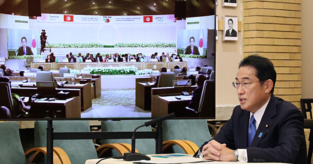 Fostering a Sustainable Japan-Africa Partnership | The Government of ...