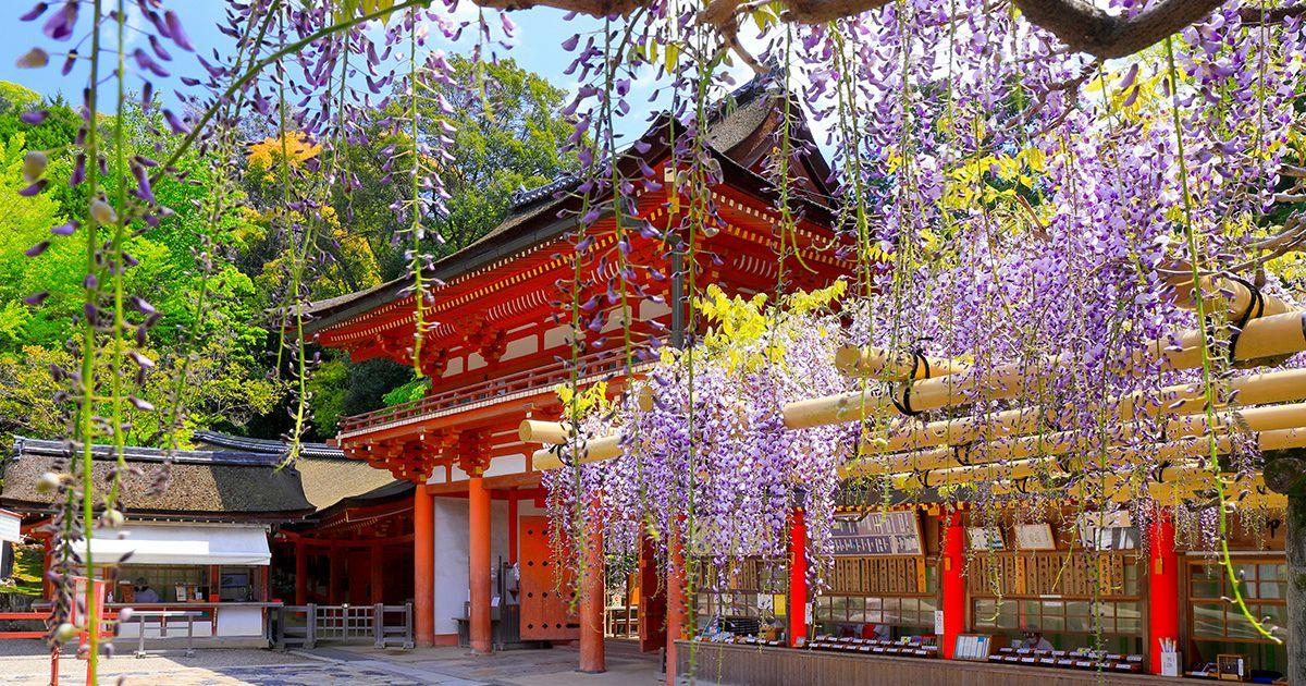 Japan’s Historical Landmarks Adorned by Plants in Spring | The ...